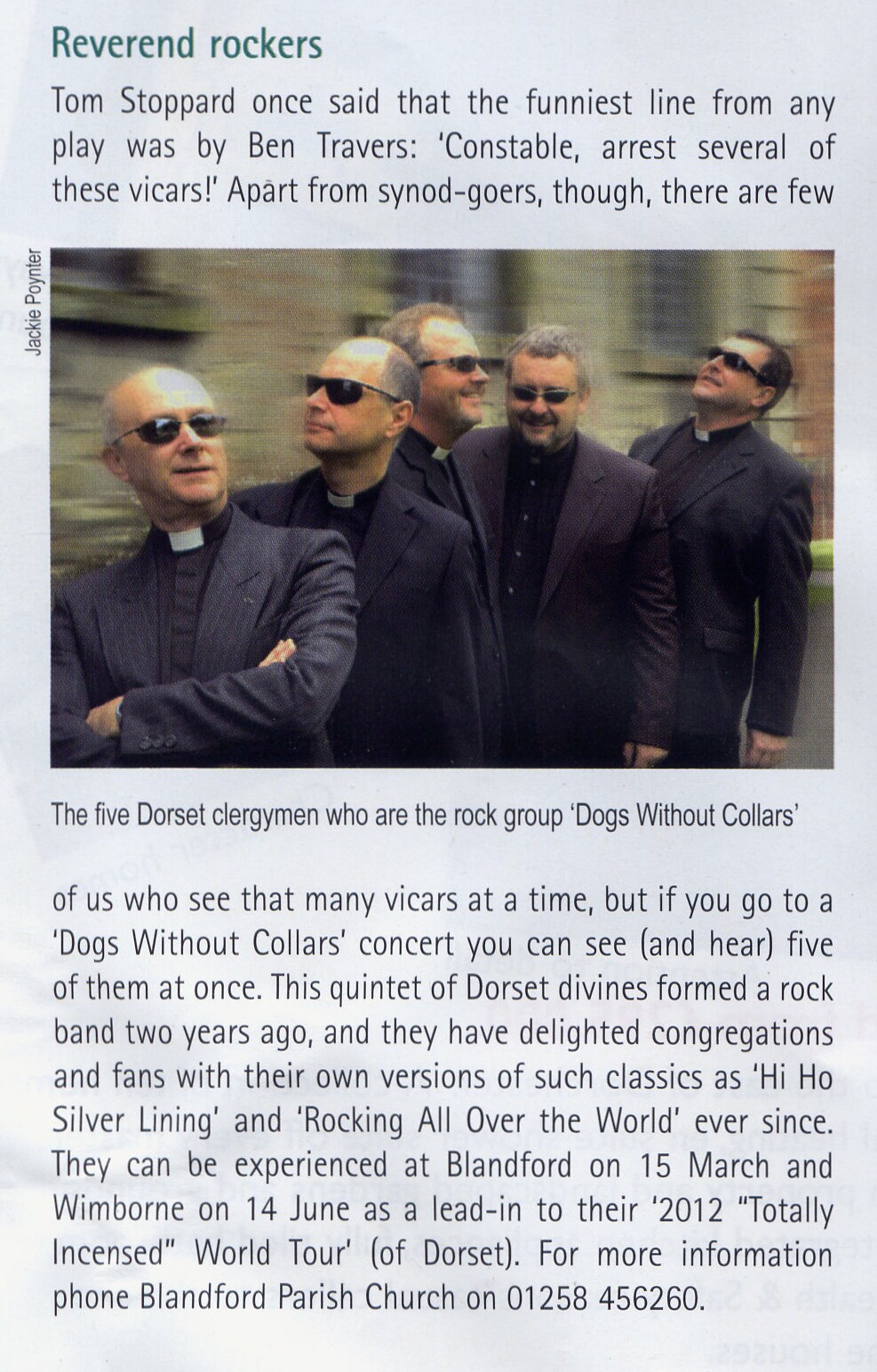 Dogs Without Collars