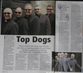 Dogs Without Collars